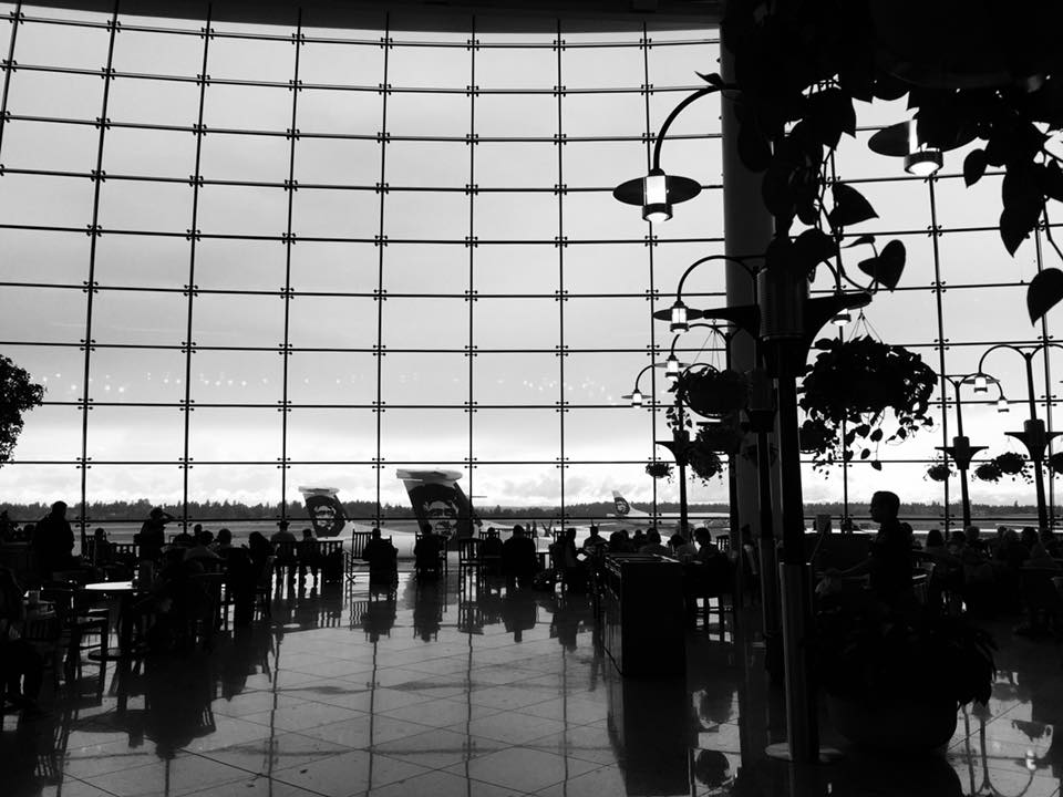 13413000_10208088359981583_8446806044557803969_n – Fine Yesterday … WTF